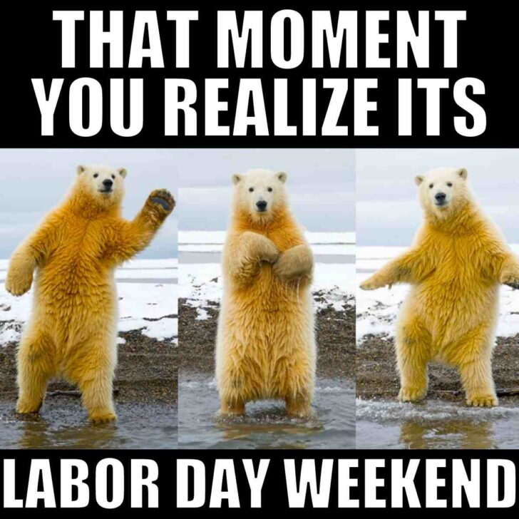 Funny Labor Day Memes 2023 For Celebrating The 3 Day Weekend