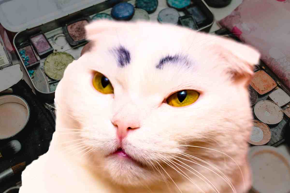 15 Hilarious Makeup Memes For Every Beauty Lover