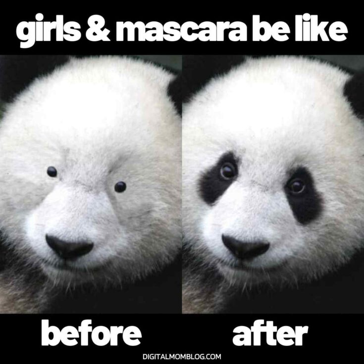 15 Hilarious Makeup Memes For Every Beauty Lover