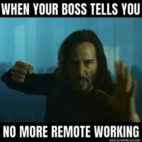Matrix 4 Memes, Trailer, Rumors & Amazing Deets For Fans!