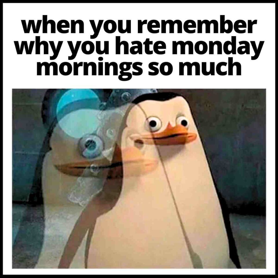 75 Relatable Monday Memes To Help You Survive The Week