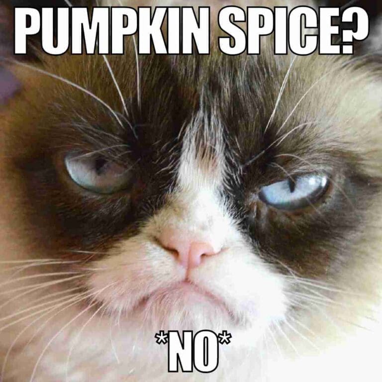 30 Funny Pumpkin Spice Memes And Images For PSL Lovers