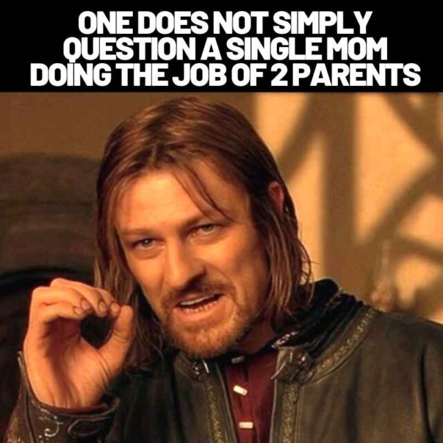 20 Funny Single Mom Memes For Mamas Parenting Alone