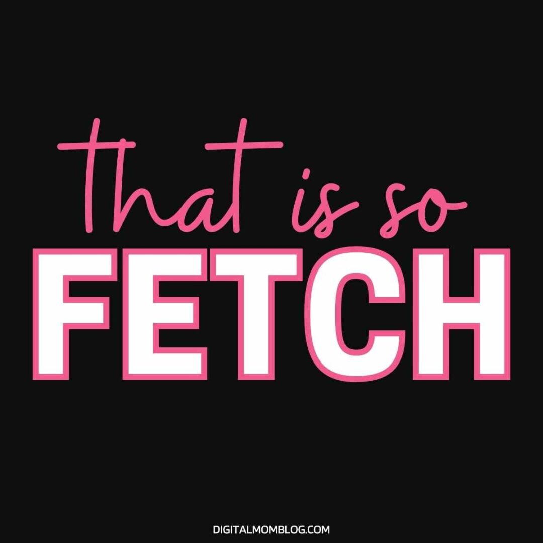 20 Hilarious Mean Girls Memes Regina George Would Love