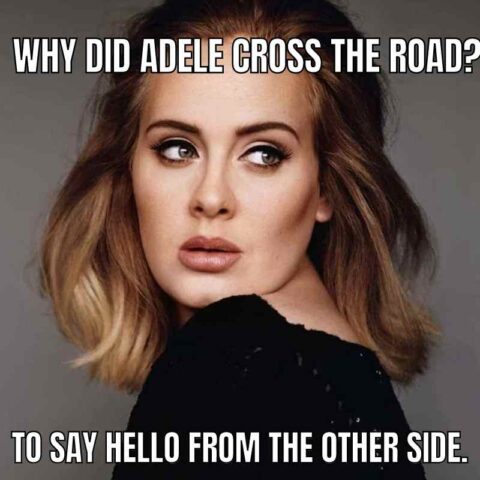 20 Best Adele Memes & Facts About This Beloved Singer