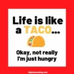 20 Funny Taco Memes For Every Taco Lover