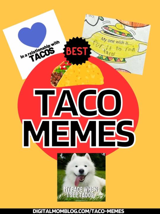 20 Funny Taco Memes About Our Favorite Food