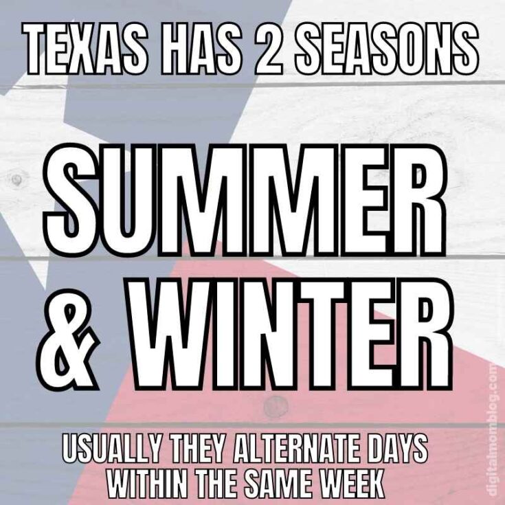 Texas Memes - Yall Enjoy These 40+ Funny Memes About TX