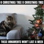 25 Funny Christmas Tree Memes For Sharing