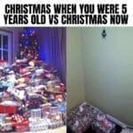 25 Funny Christmas Tree Memes For Sharing