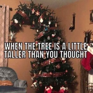 25 Funny Christmas Tree Memes For Sharing