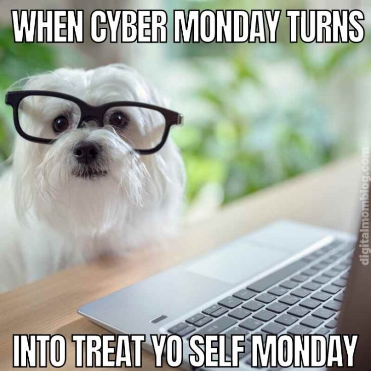 Cyber Monday Memes: Laugh Off Your Post-Shopping Regrets