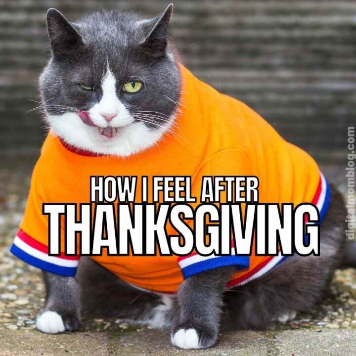 17 Monday After Thanksgiving Memes: Beat The Blues With LOLs