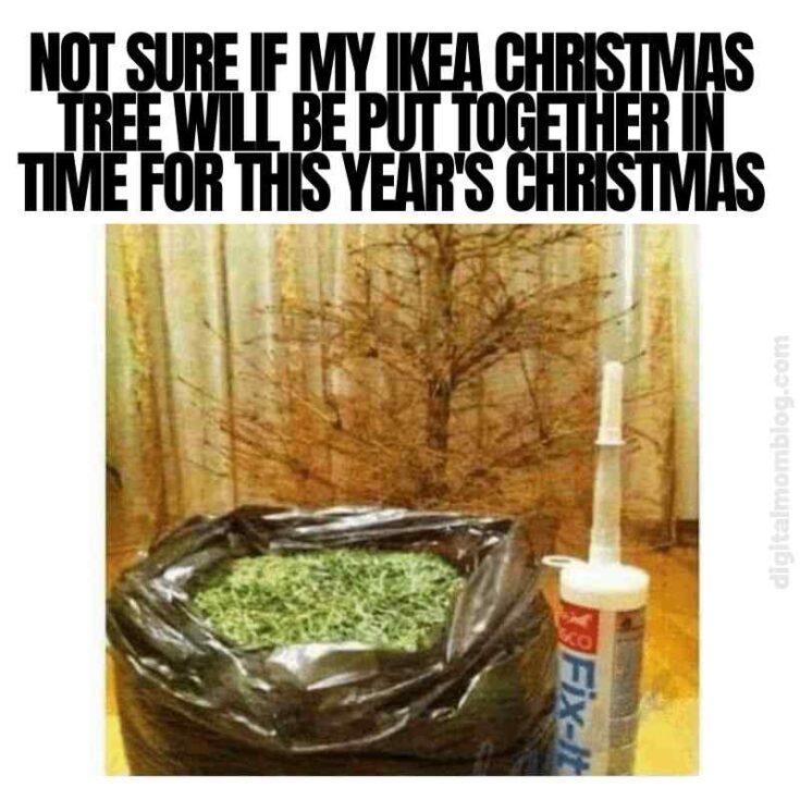 25 Hilarious Christmas Tree Memes That Are Fir-Real Funny