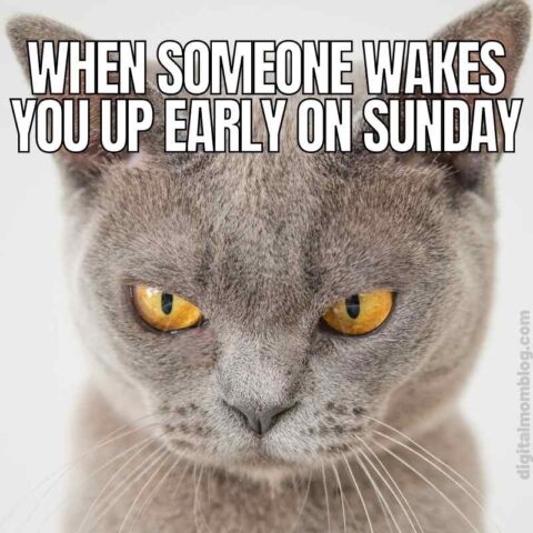 40 Funny Sunday Memes And Images To Start The New Week