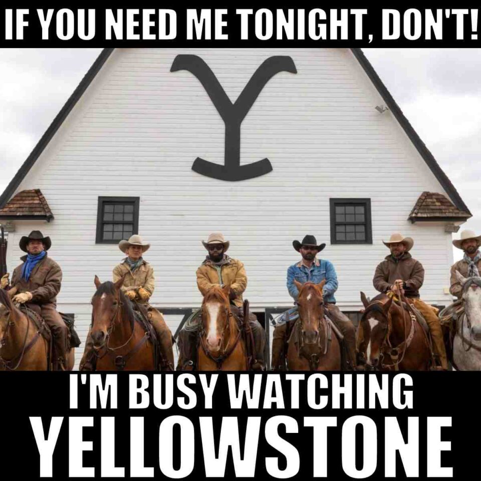 20 Hilarious Yellowstone Memes: Saddle Up For Laughs
