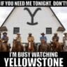 20 Hilarious Yellowstone Memes: Saddle Up For Laughs