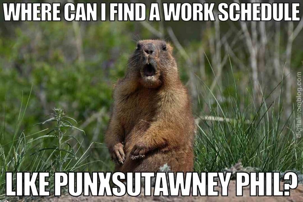 23 Groundhog Day Memes To Help You Survive The Same Day Over And Over