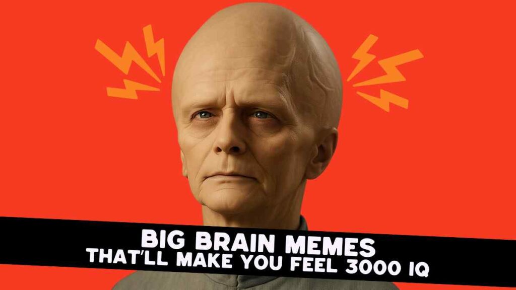 20 Funny Big Brain Memes For Genius Smarty Pants