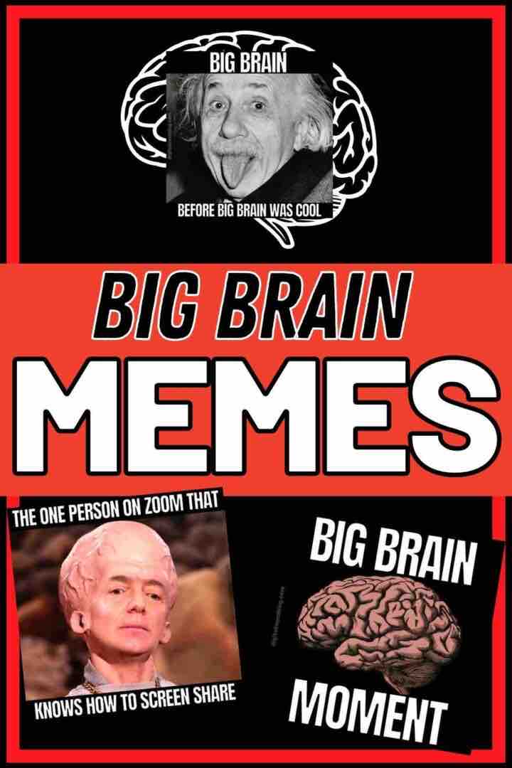 20+ Big Brain Memes & GIFs For The Intelligent Smarty Pants