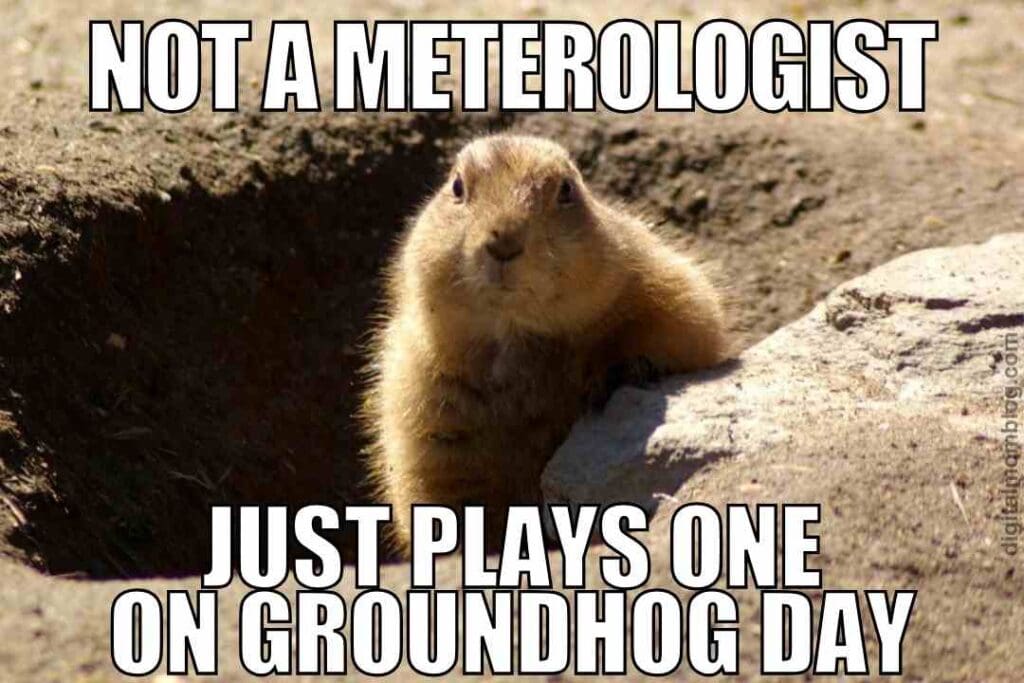 23 Groundhog Day Memes To Help You Survive The Same Day Over And Over
