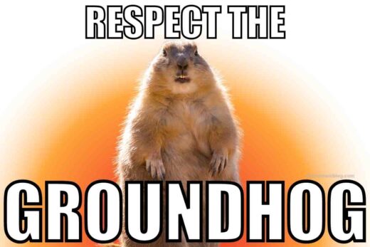 Groundhog Day Memes And Funny Groundhog Memes For 2022