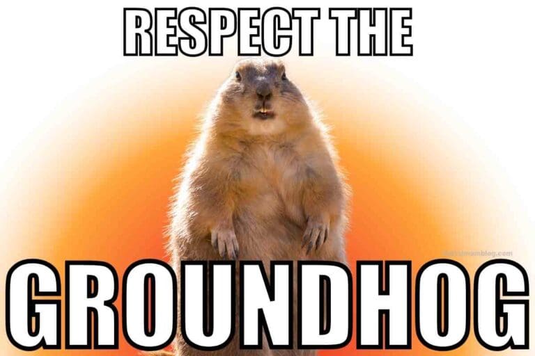 Groundhog Day Memes And Funny Groundhog Memes For 2022