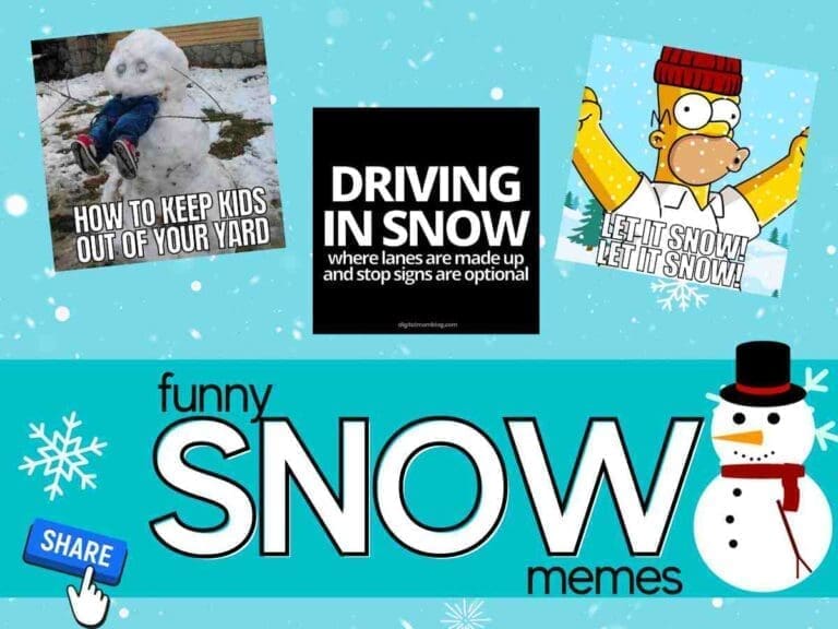 40 Funny Snow Memes That Capture The Frosty Fun