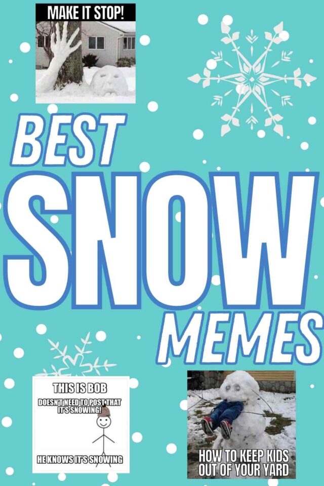 40 Best Snow Memes For Laughing At Winter Weather