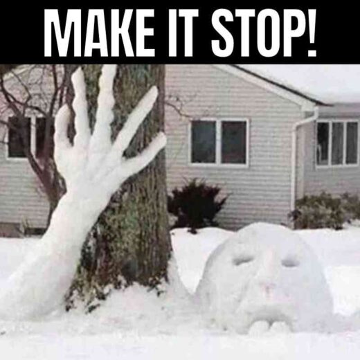40 Best Snow Memes For Laughing At Winter Weather