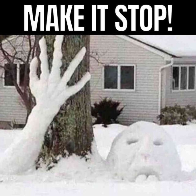 40 Best Snow Memes For Laughing At Winter Weather