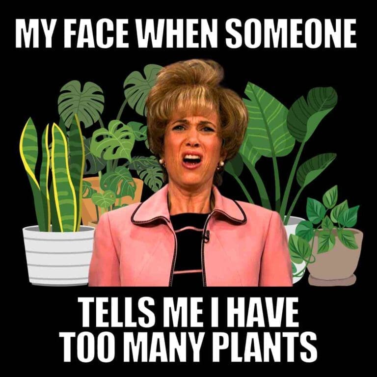 40 Plant Memes That’ll Grow On You (Literally And Emotionally)