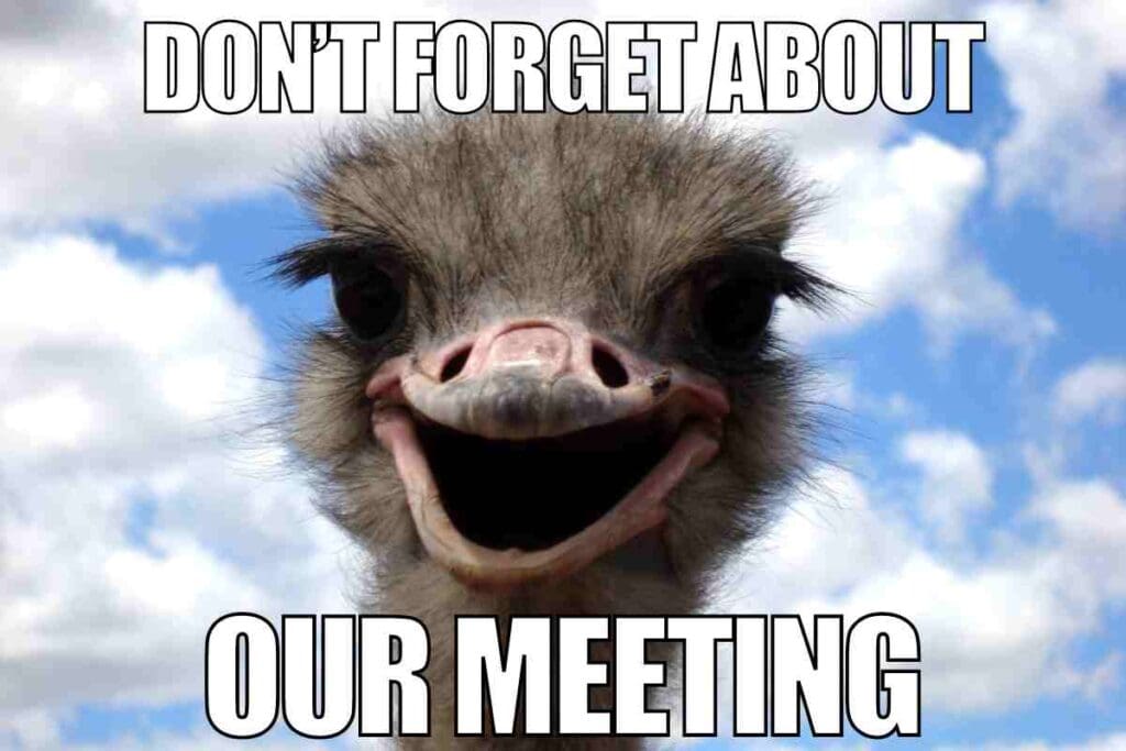 65 Funny Meeting Memes That Could’ve Been Emails