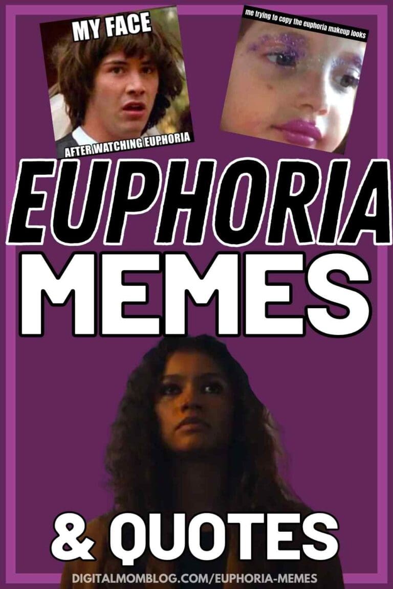 Best Euphoria Memes For Season 2
