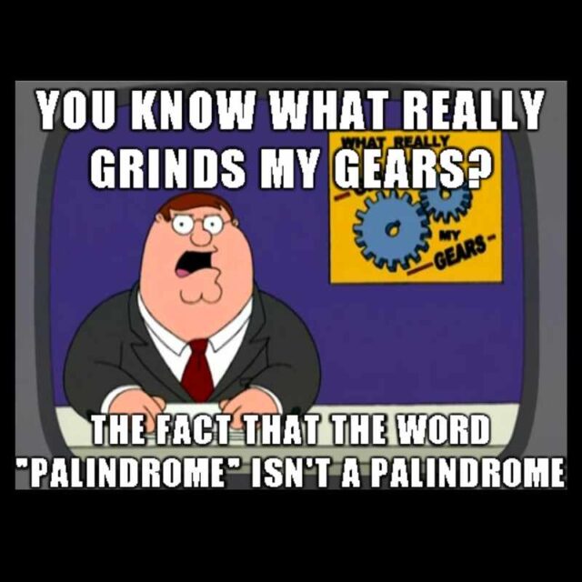 Palindrome Memes That Read The Same Both Ways (and Still Make You Laugh)