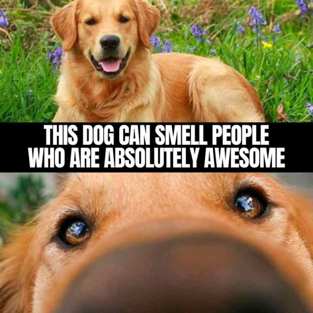 30 Happy Memes That’ll Brighten Your Day Instantly