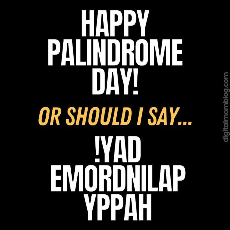Palindrome Memes That Read The Same Both Ways (and Still Make You Laugh)