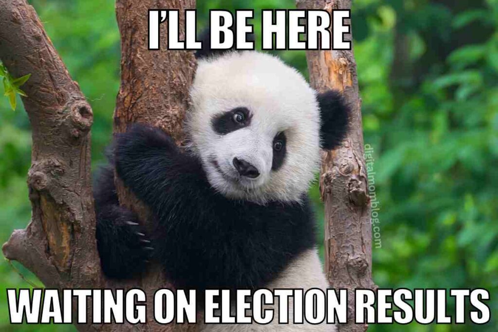 2024 Election Results Memes: Best Way To Survive The Night!