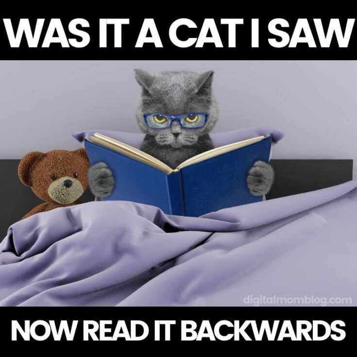 Palindrome Memes That Read The Same Both Ways (and Still Make You Laugh)