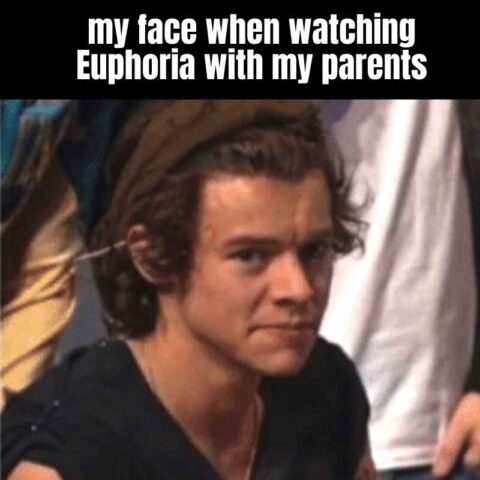 Best Euphoria Memes For Season 2