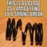 19 Wild Spring Break Memes: Sun, Sand, And Sarcasm