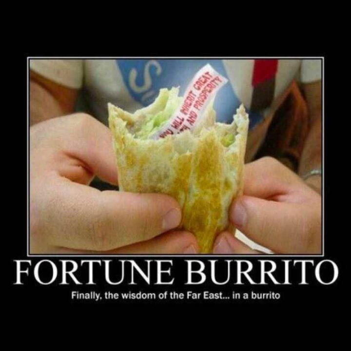15+ Funny Burrito Memes And Images
