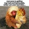 15+ Funny Burrito Memes That’ll Make You Crave Carbs And Chaos
