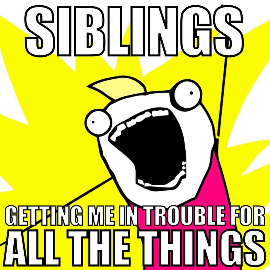 50 Hilarious Sibling Memes: From Fights To Fun!
