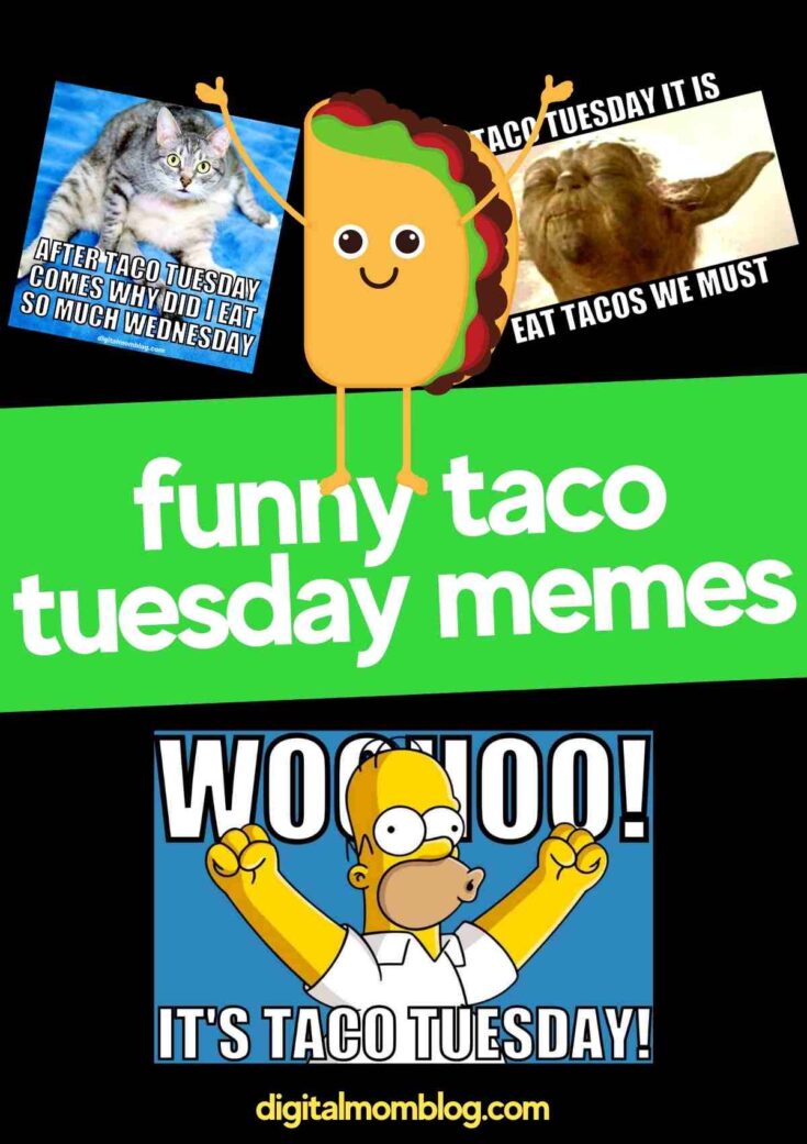 30 Funny Taco Tuesday Memes Images And GIFs For Taco Day!