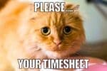 25 Funny Timesheet Memes And Reminders For The Forgetful