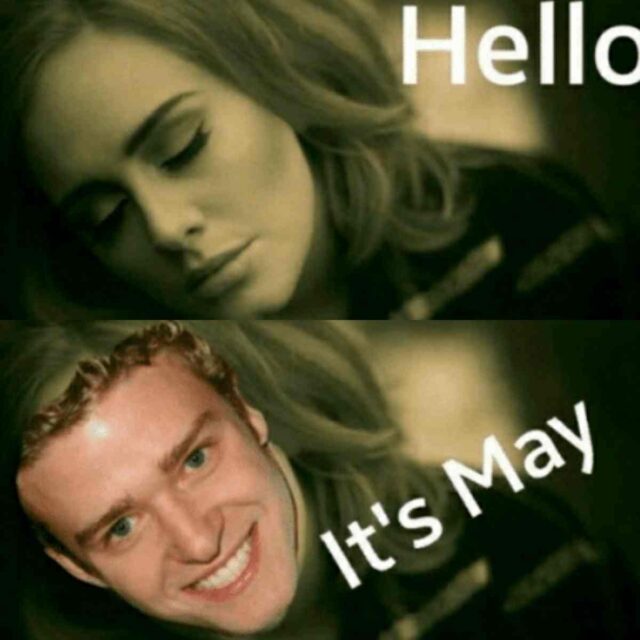 May Memes 2024 - The Funny You Need To Survive Month 5