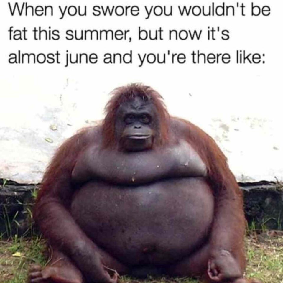 20 Hilarious Summer Body Memes That Say “Pass The Chips”