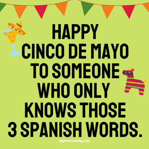 Best Cinco De Mayo Memes To Celebrate May 5th
