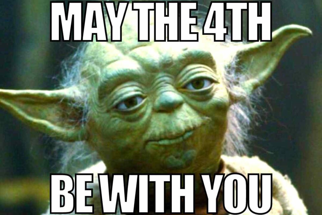 May Memes 2024 - The Funny You Need To Survive Month 5
